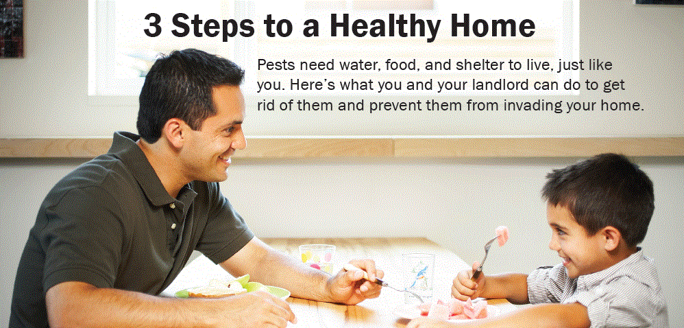 3 Steps to a Healthy Home | Behavioral Health & Recovery Services Blog